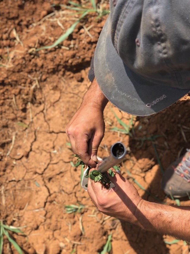 News: Oriol Sullà: "The orbit is a complete fastening system" - ARaymond