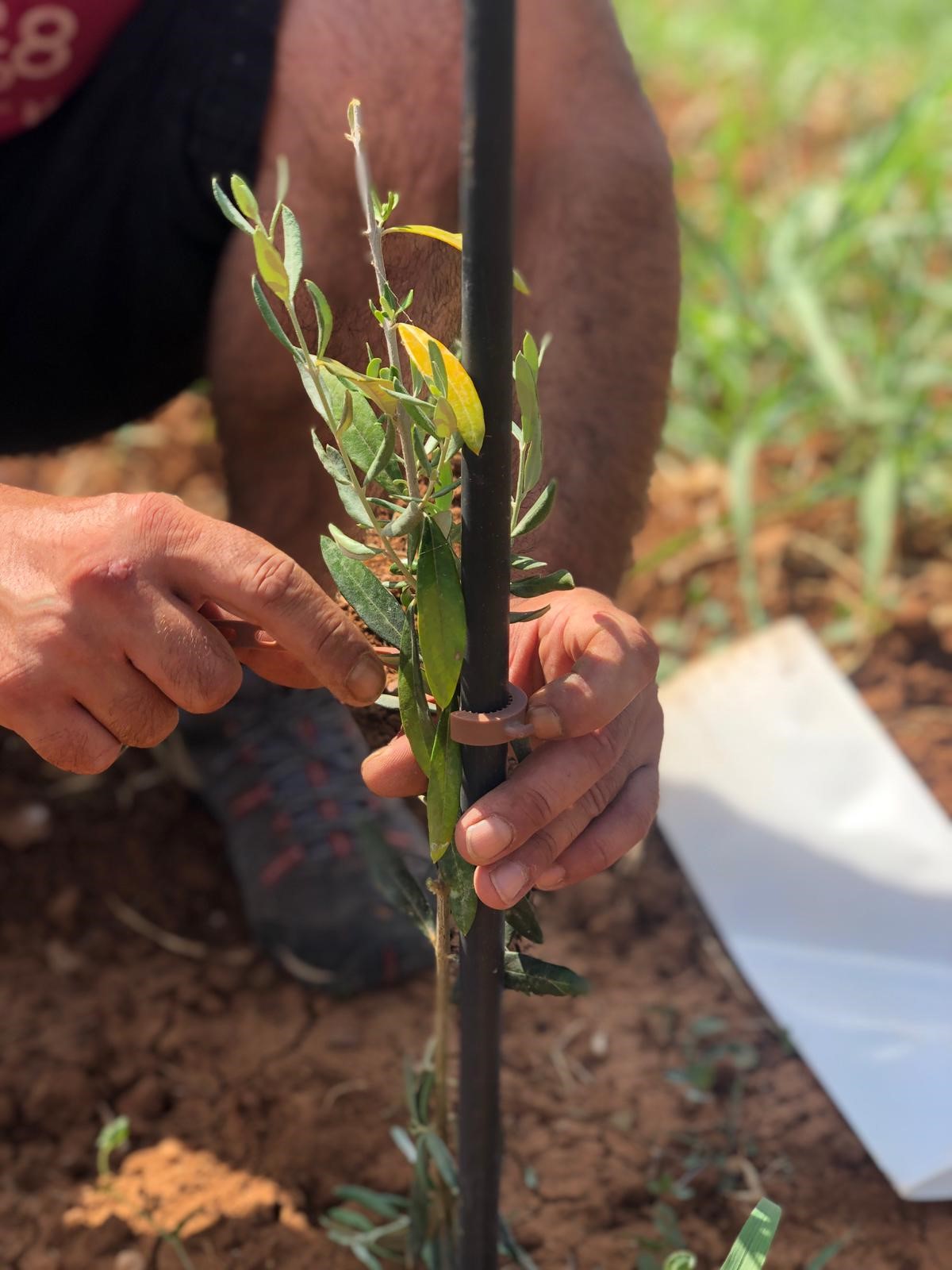 News: Oriol Sullà: "The orbit is a complete fastening system" - ARaymond